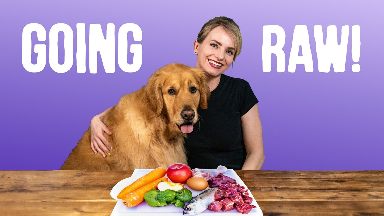 How Raw Diet TRANSFORMED My Dog in 18 Months - YouTube