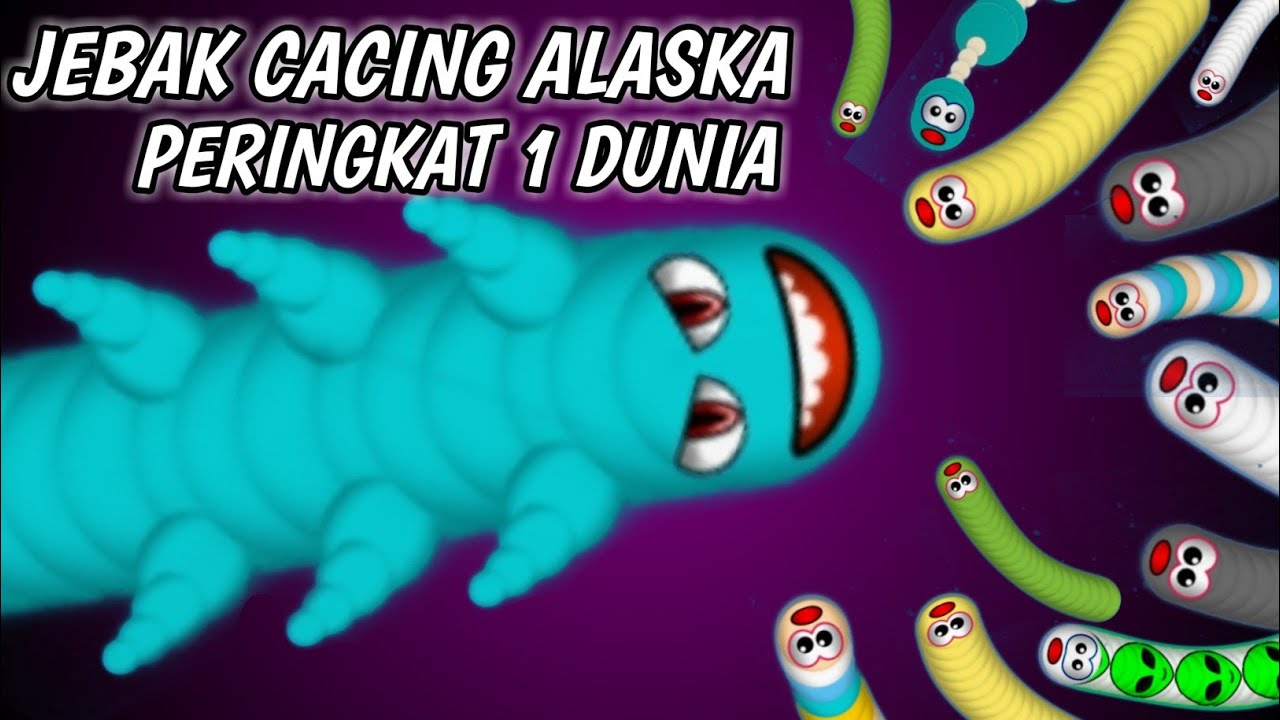 Jebak cacing besar alaska langsung peringkat satu dunia - worms zone ...