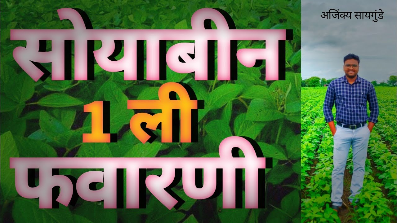सोयाबीन पहिली फवारणी | soybean pahili favarni | सोयाबीन जोमदार वाढ ...
