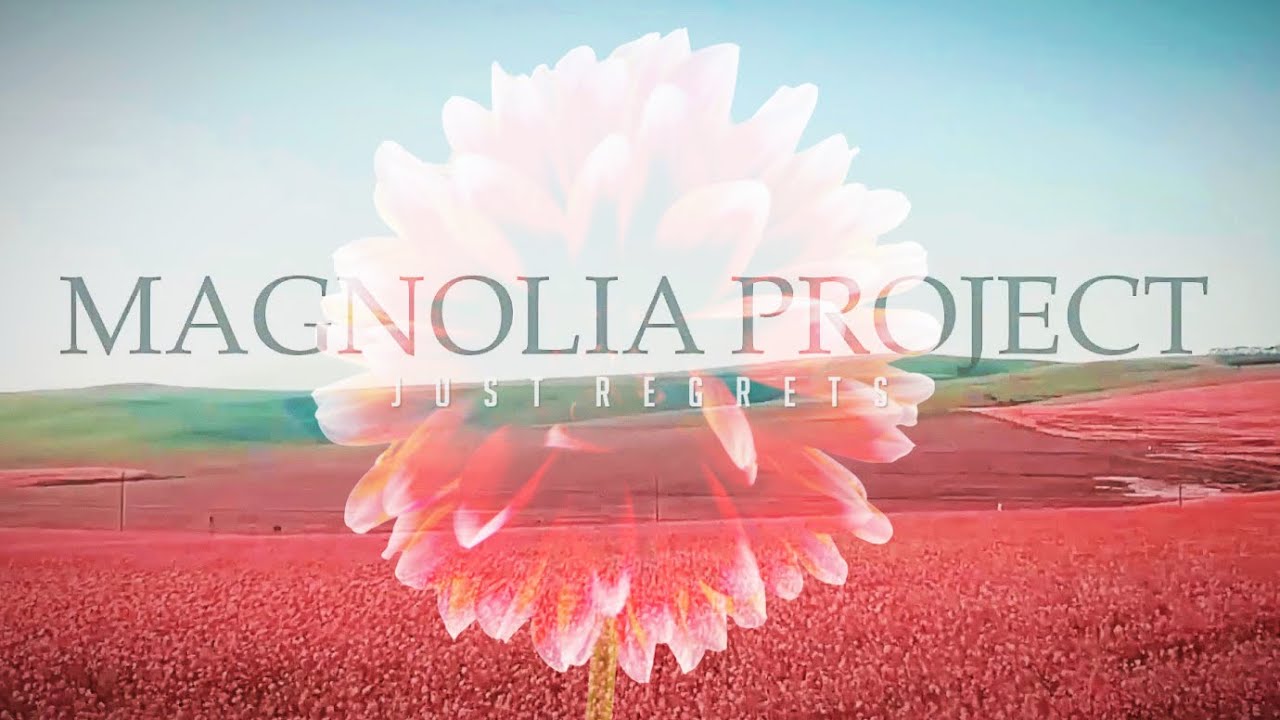 Magnolia Project - Just Regrets (Official Music Video) - YouTube