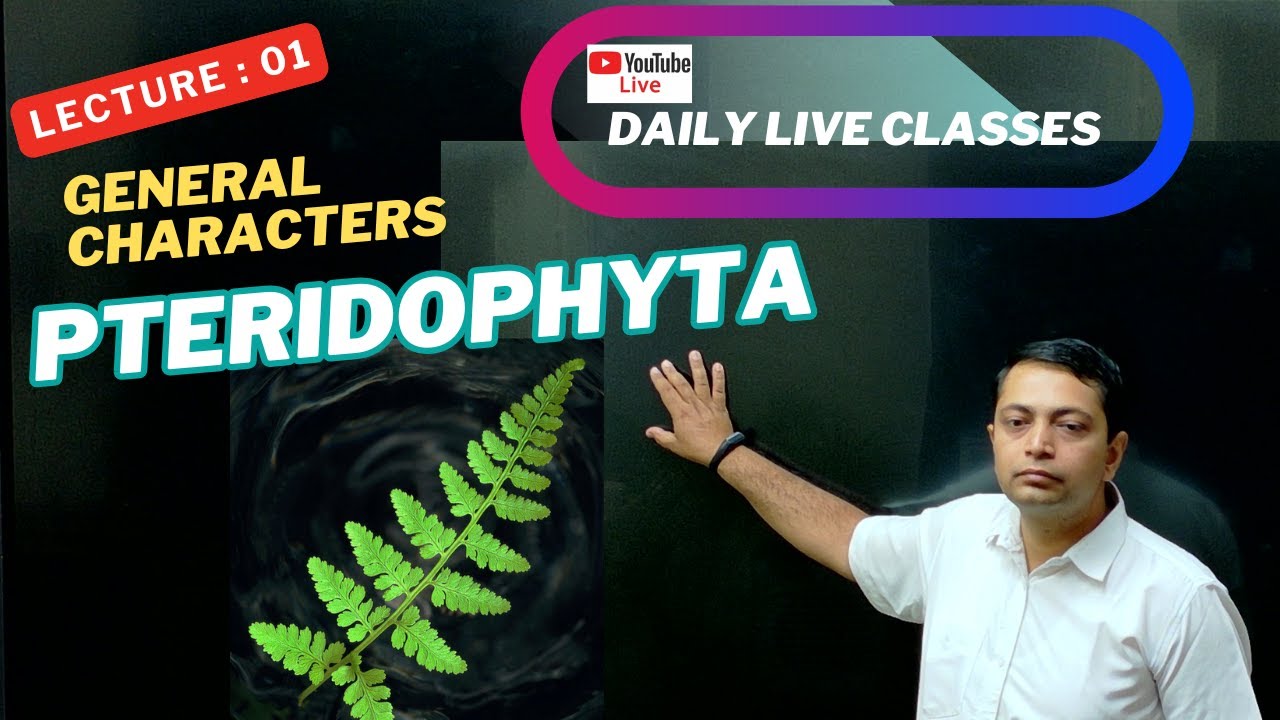 General Characters of Pteridophyta Lecture - 01 - YouTube