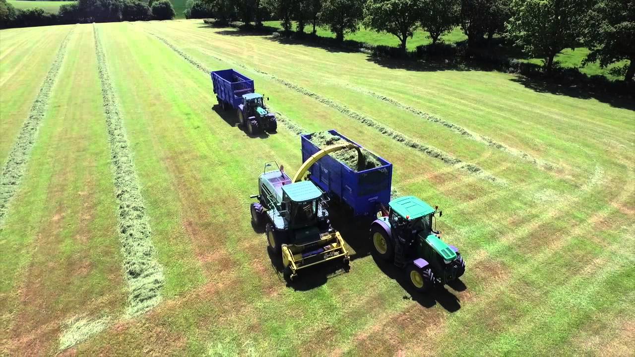 Grass Foraging FGS Agri 2015 - YouTube