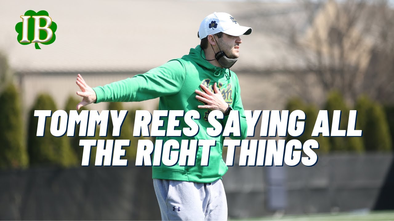Notre Dame Football: Tommy Rees Striking All The Right Notes This ...