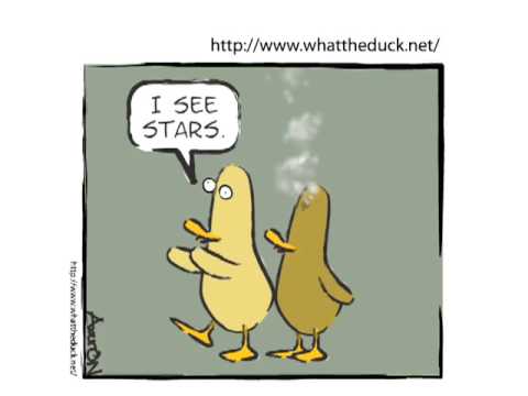 What the Duck Animated Comic Strip 650 - YouTube