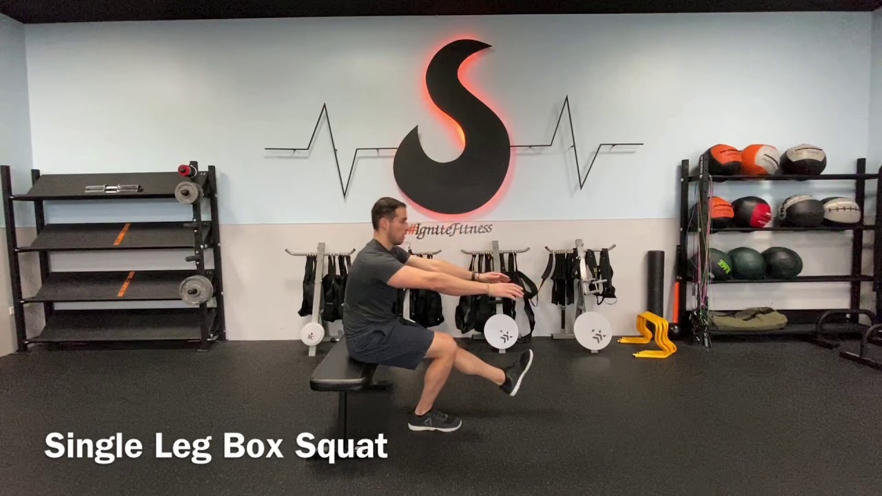 Single Leg Box Squat - YouTube
