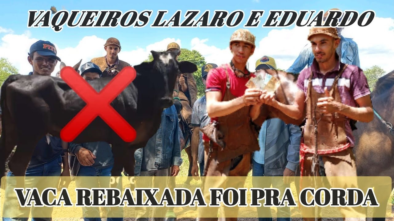 Vaca Rebaixada e Boi Bota Fogo 🔥 Na Corda, Vaqueiros Eduardo e Lázaro ...
