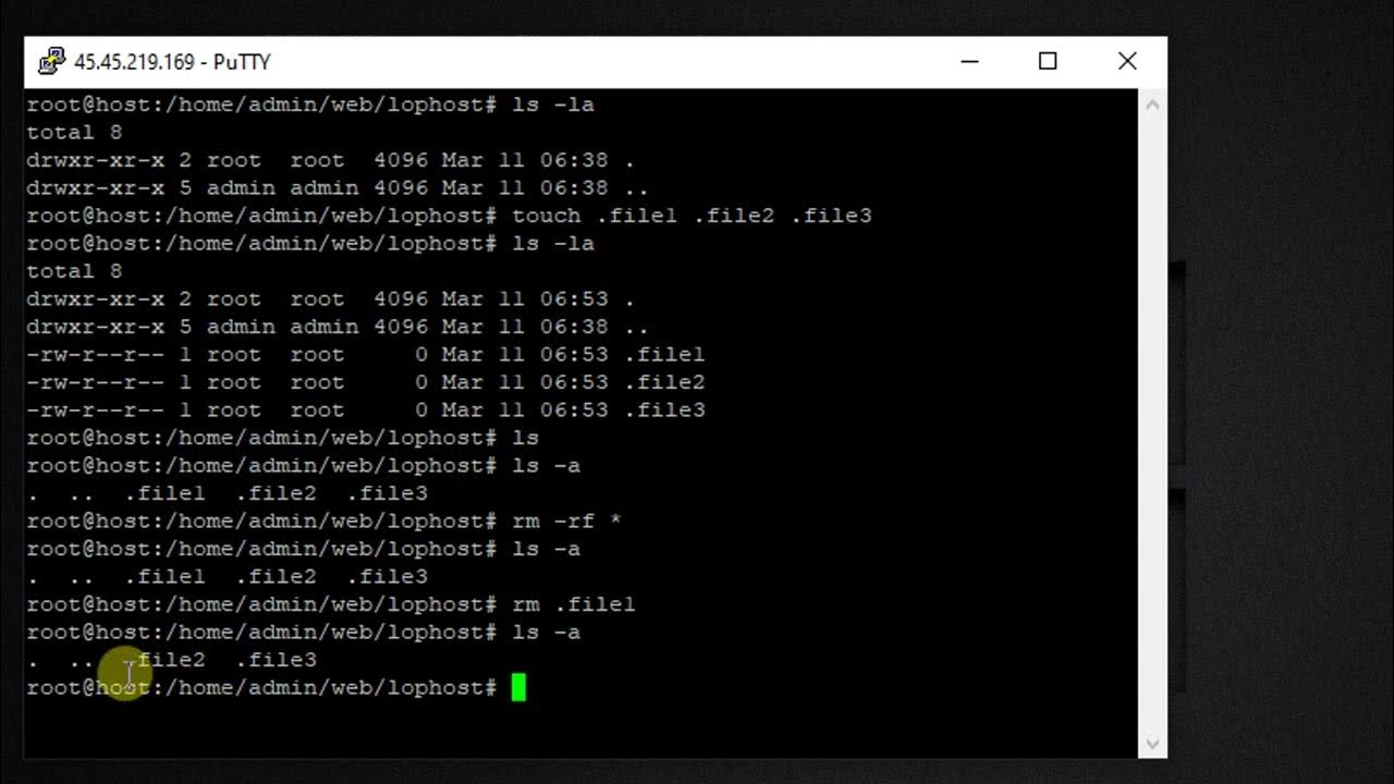 Delete Hidden Files On Linux Server YouTube delete-hidden-files-on-linux-server-youtube