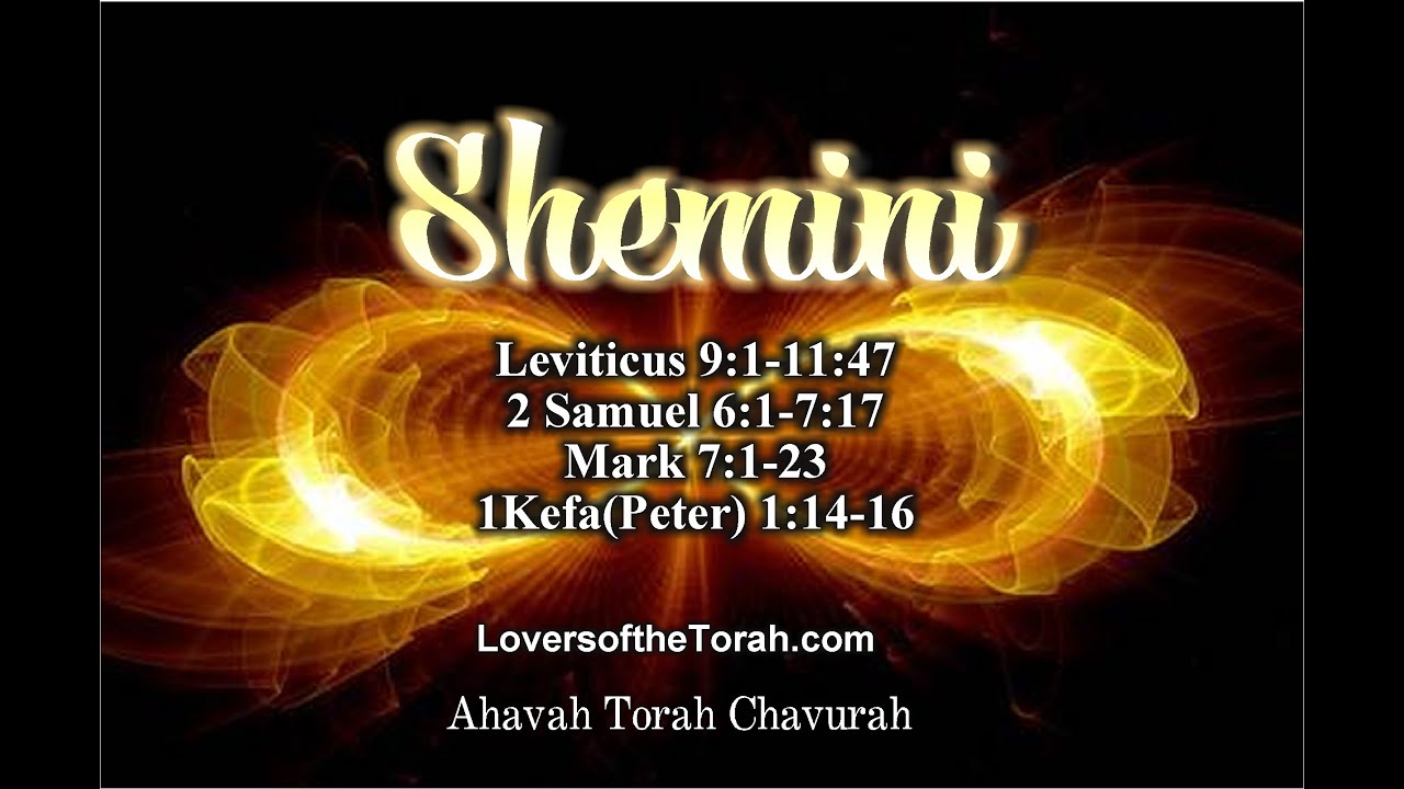 Torah Portion Commentary Shemini - YouTube