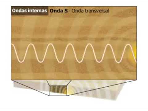 Fisica 1ro Medio Ondas P S L R video - YouTube