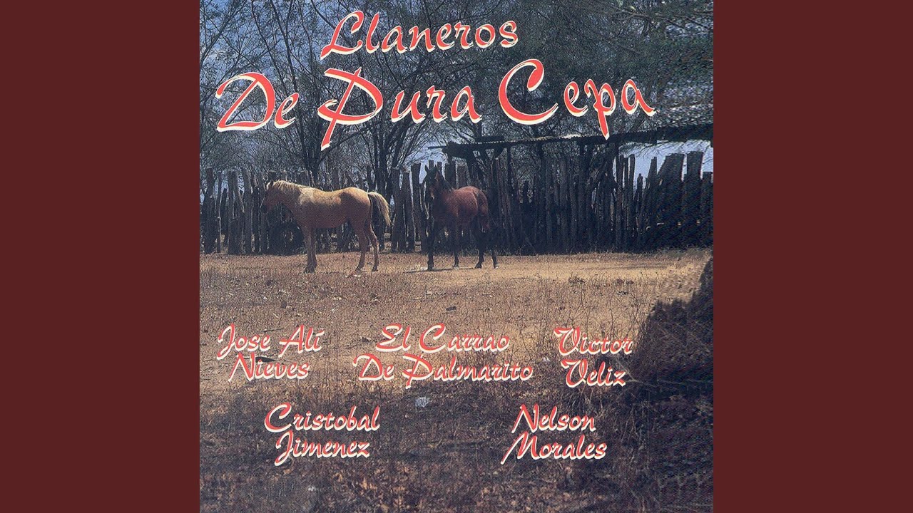 Quiero A Mi Llano Compay - YouTube