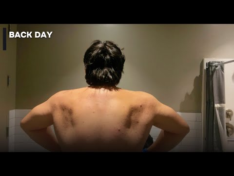 FULL BACK DAY WORKOUT - YouTube
