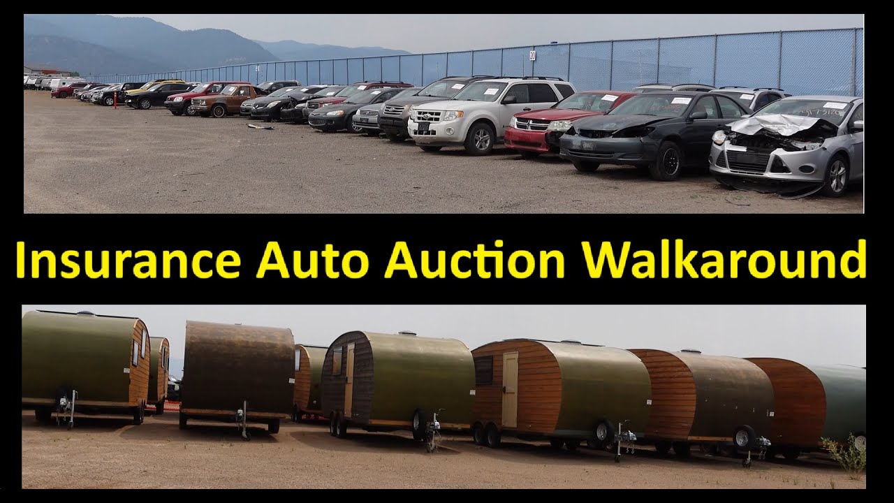 Epic Insurance Auto Auction Walkaround: Scoring Hidden Gems & Future ...