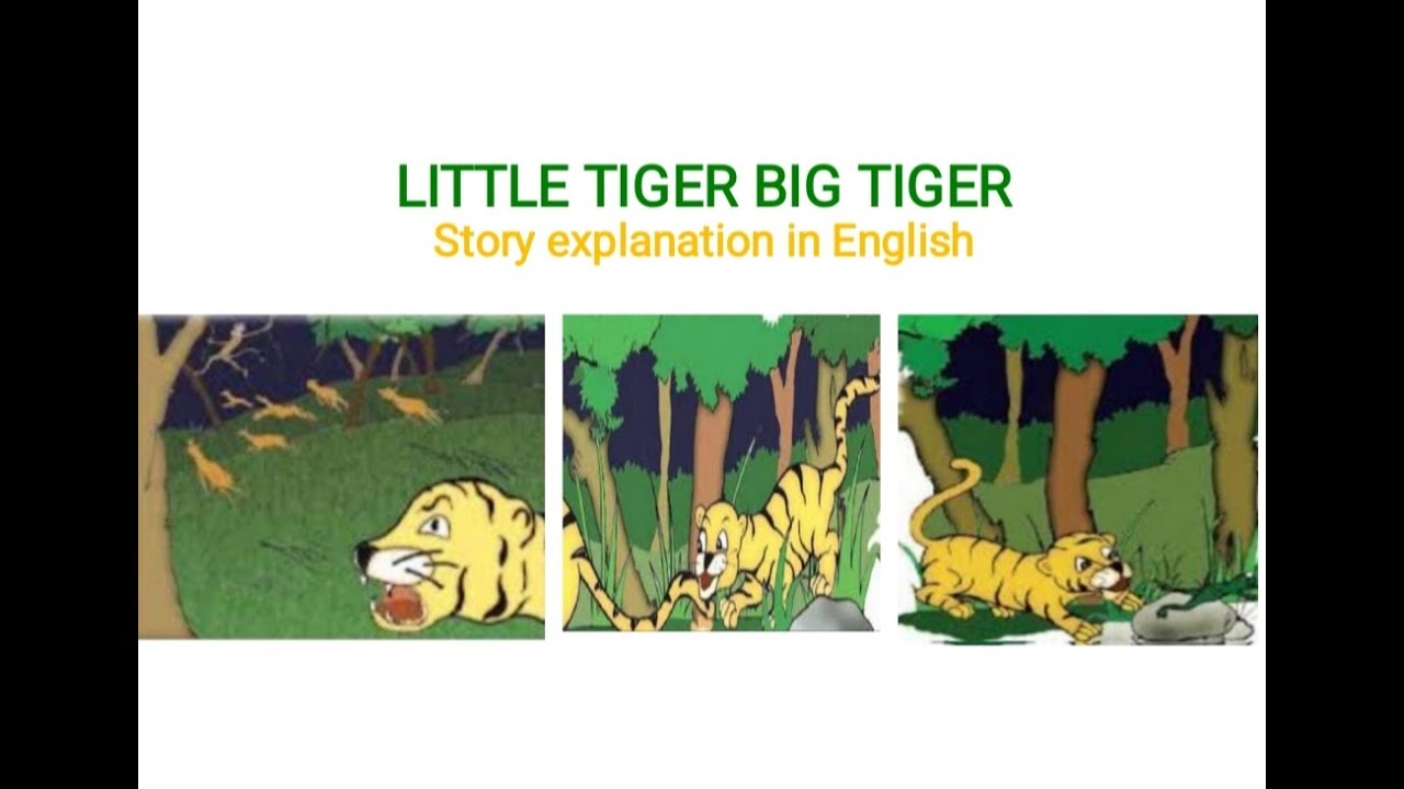 LITTLE TIGER BIG TIGER - story explanation in English - CBSE - grade 3 ...