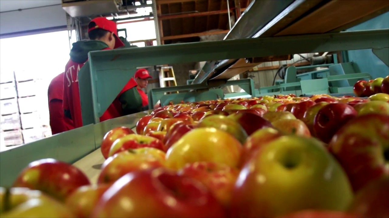 Klackle Orchards - West Michigan's Family Fun Farm - YouTube