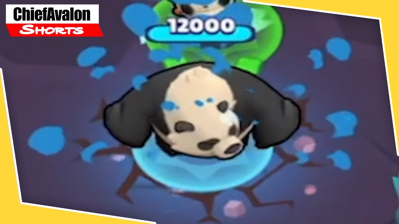 Legendäres Bärenspiel in Brawl Stars mit ChiefAvalon - YouTube