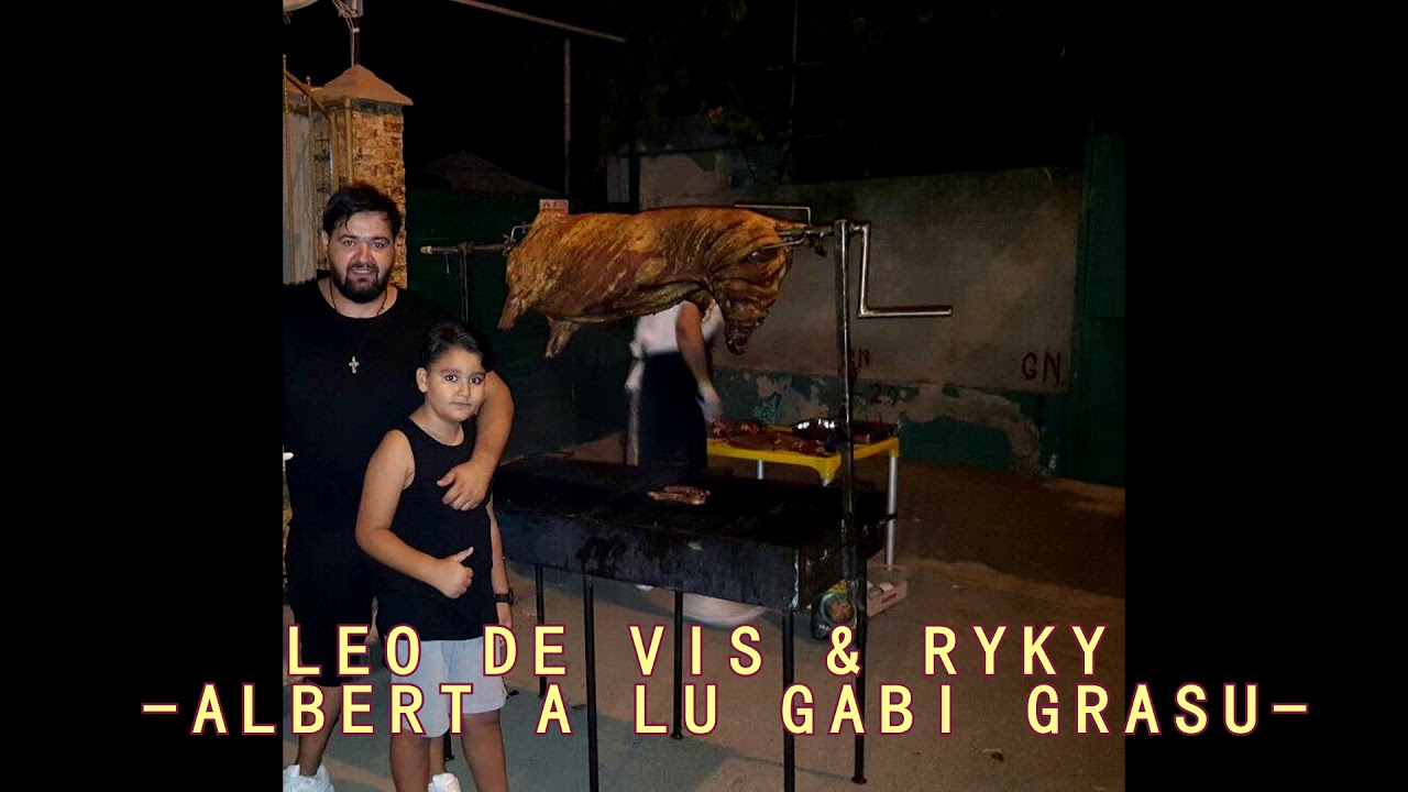 LEO DE VIS & RYKY - MI SE SPUNE RASFATATU , ALBERT A LU GABI GRASU (HiT ...