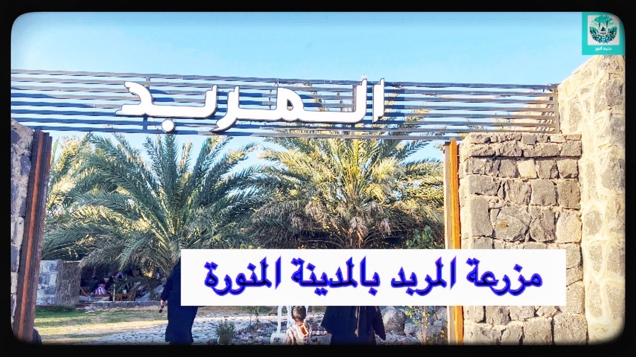 مزرعة المربد: لحظات ملهمة في قلب الطبيعة الخلابة بالمدينة المنورة ...