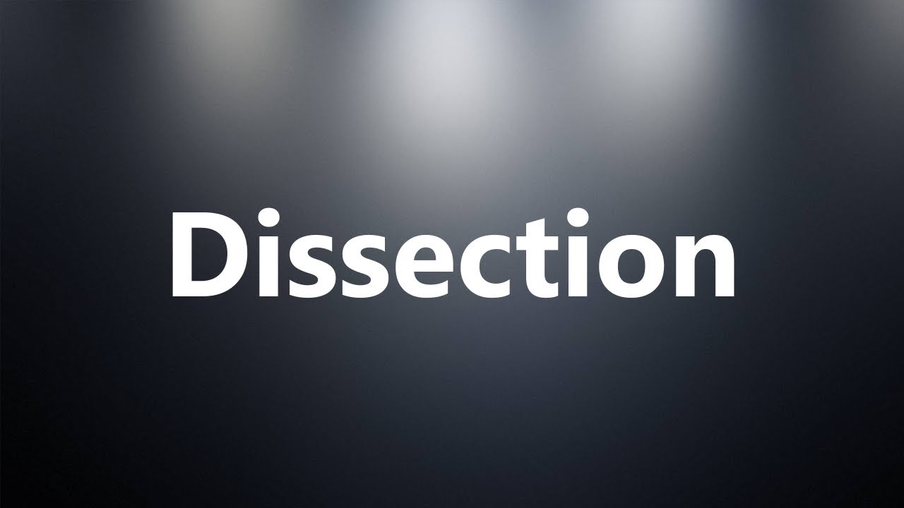 Dissection - Medical Meaning and Pronunciation - YouTube