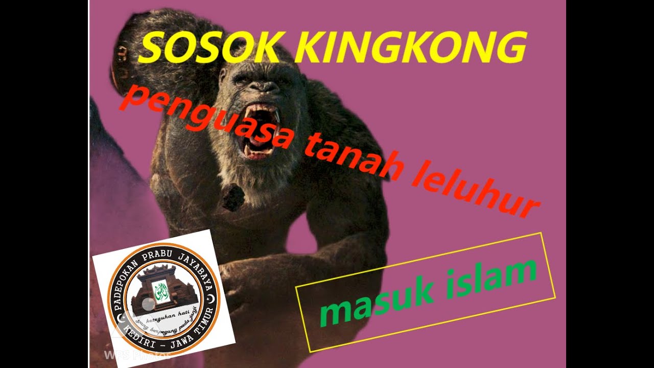 PEMBERSIHAN RUMAH DARI MAKHLUK GAIB (JIN KINGKONG) PENGUASA TANAH ...