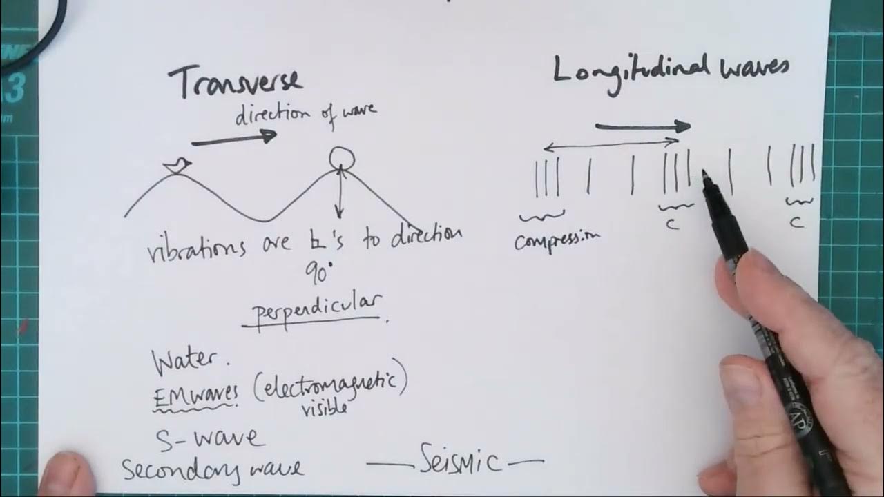 Waves revision 3 (GCSE) - transverse v longitudinal - YouTube