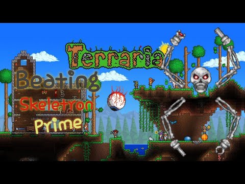 Terraria Beating Skeleton Prime #terrariagameplay #terrariaboss # ...
