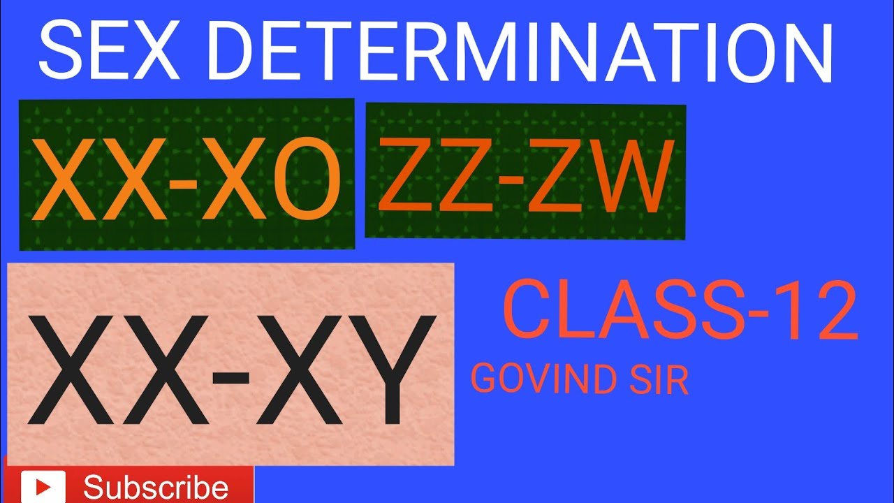 Sex Determination Types Xx Xo Xx Xy And Zw Zz Part 25 गुणसूत्र द्वार