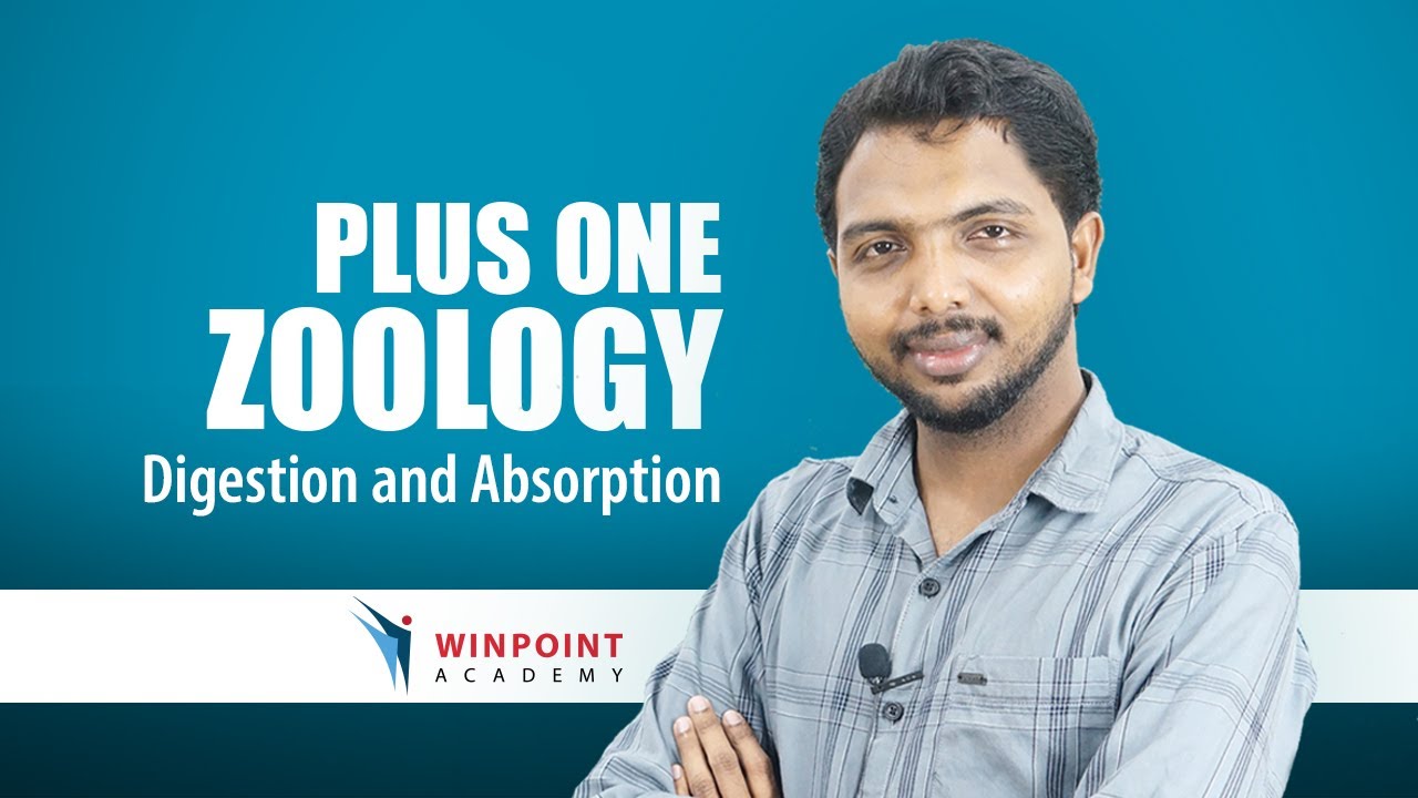 PLUS ONE ZOOLOGY | DIGESTION AND ABSORPTION |WINPOINT ACADEMY - YouTube