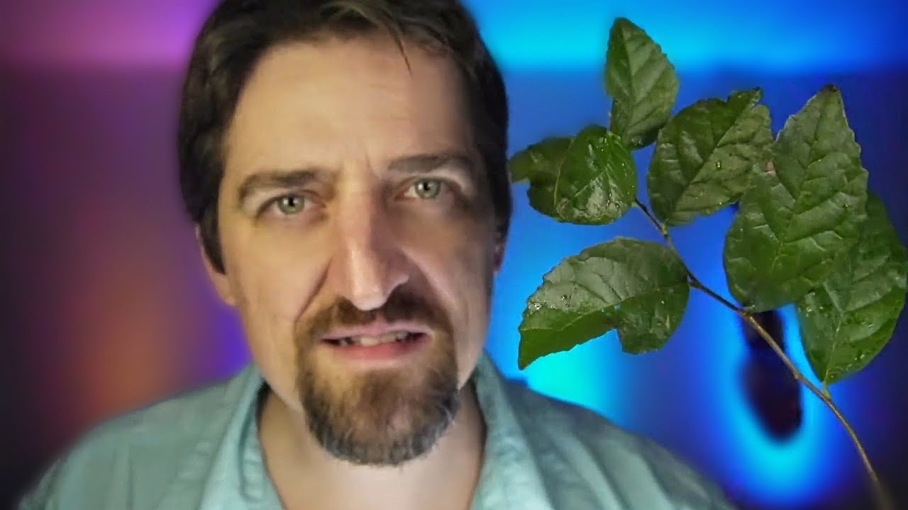 ASMR Leaf Texture 🍃 Sounds Crunchy, Crinkly, Crispy #SleepAid - YouTube