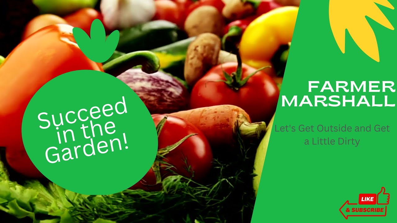 Success? How I Regrow From Table Scraps! - YouTube