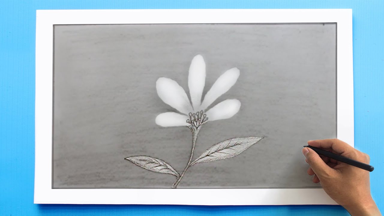 White Flower Drawing Easy Pencil Sketch - YouTube