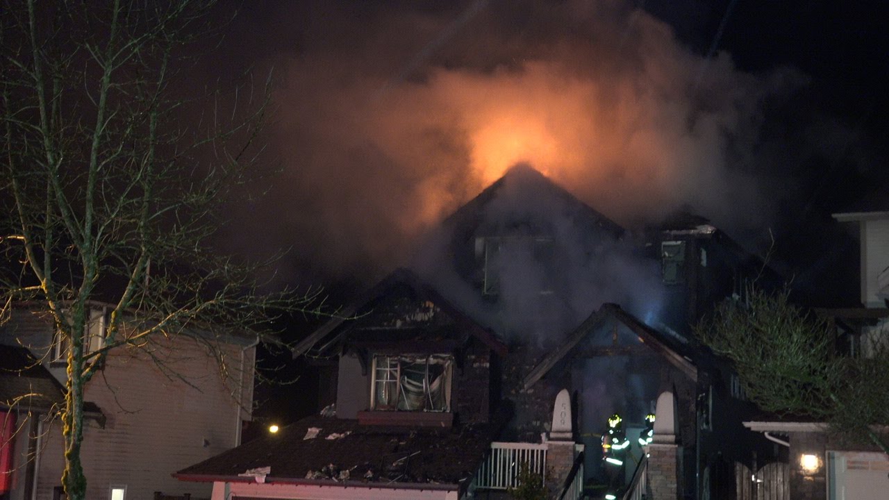 Firefighter Rescues Dog From House Fire. Port Moody BC Canada (4K ...