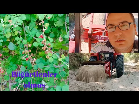 İNŞAATA KUM GETİRDİM // BAHÇENİN HAVUZU