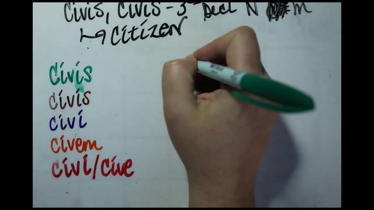 Sentence Translation 4 part 1 - YouTube