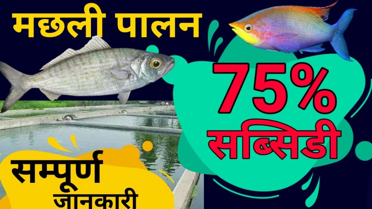 मछली पालन सब्सिडी। Machli Palan। Machli Palan ki puri jankari। Machli ...