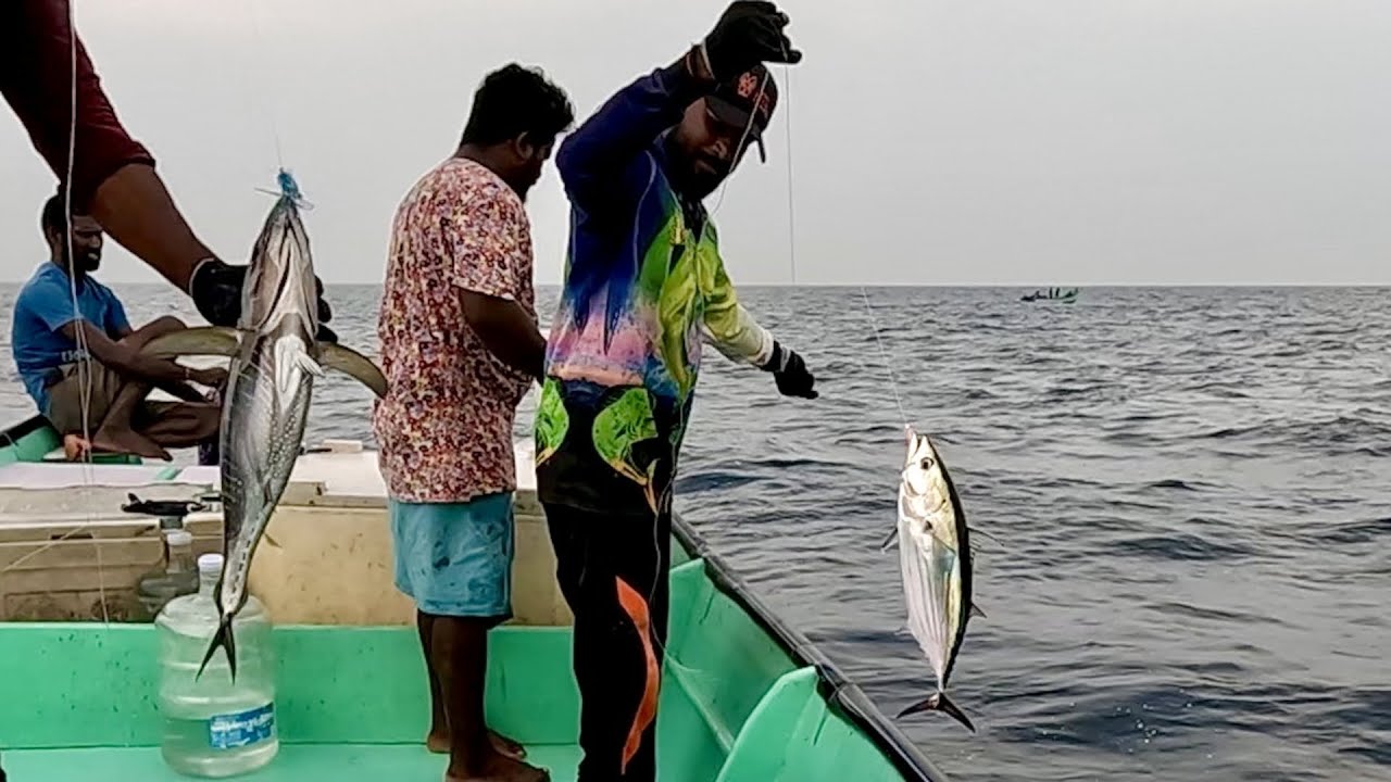 Catching Tuna Fish in the Deep Sea #fish #fishing #fishingvideo - YouTube