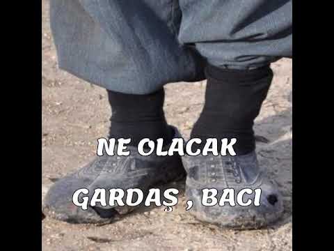 NE OLACAK BACI , GARDAŞ