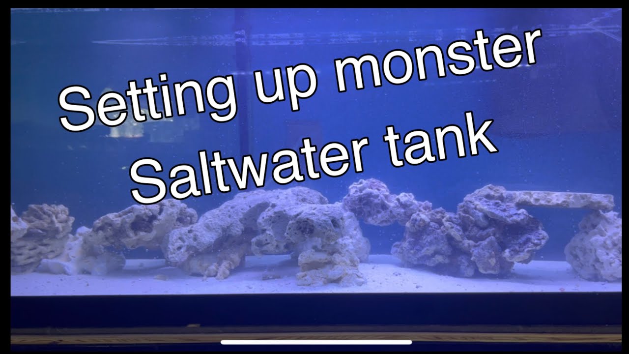Setting up monsters saltwater tank #2 - YouTube