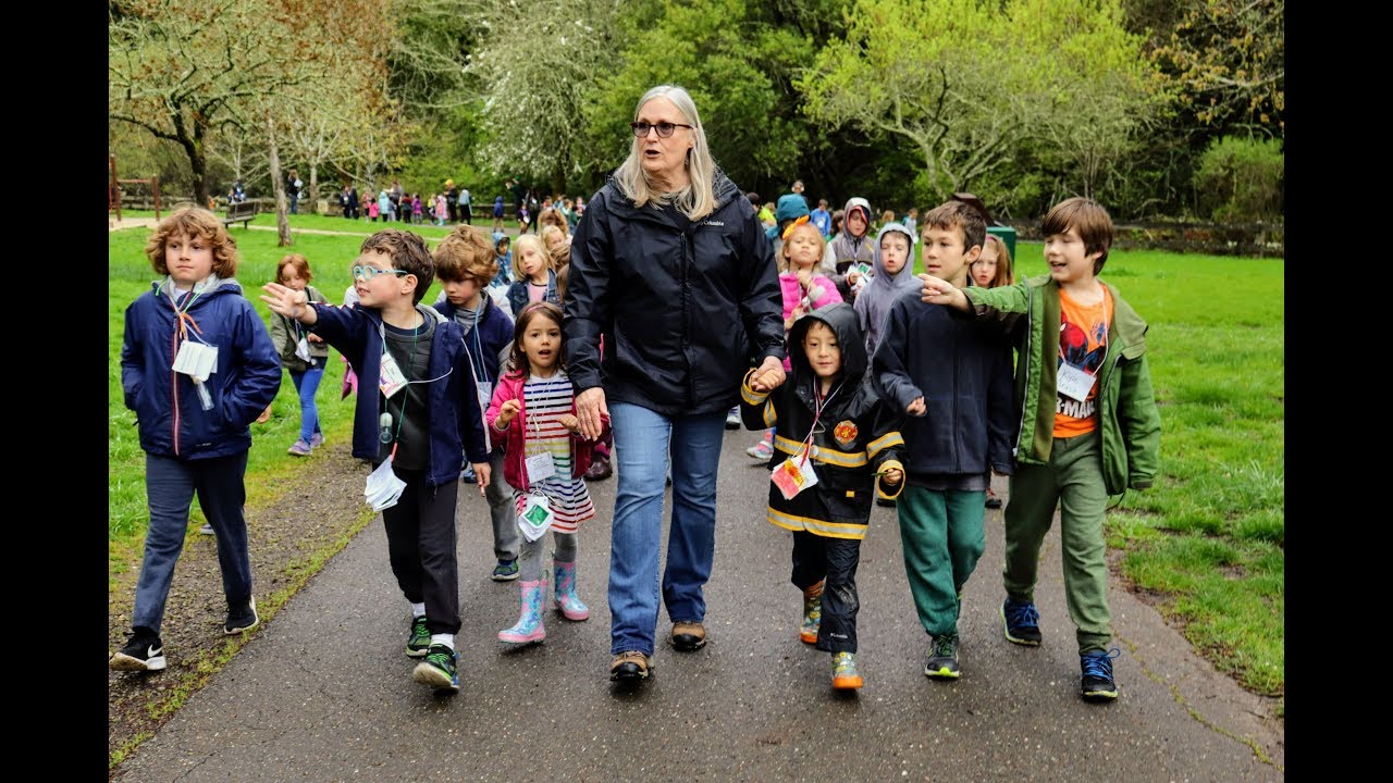 Explore the Redwood Forest at Sarah's Science Camp - YouTube