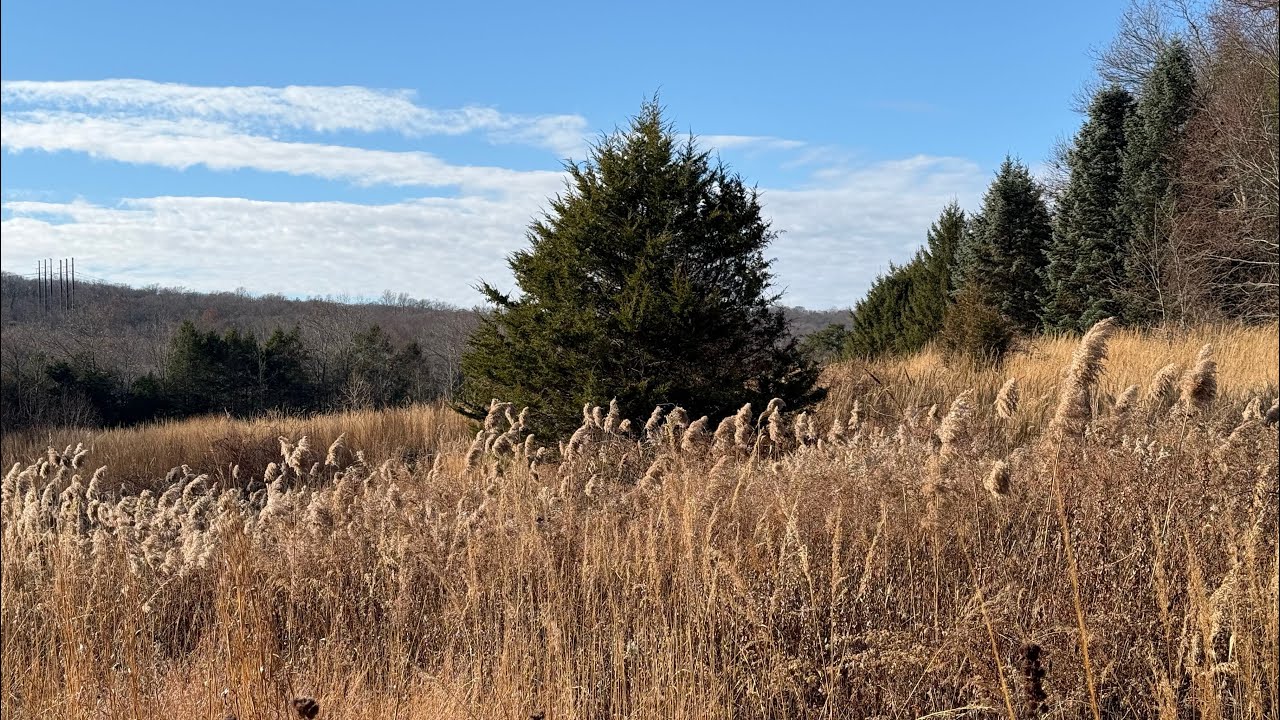 Machimoodus State Park Trail (Connecticut Hike) - YouTube