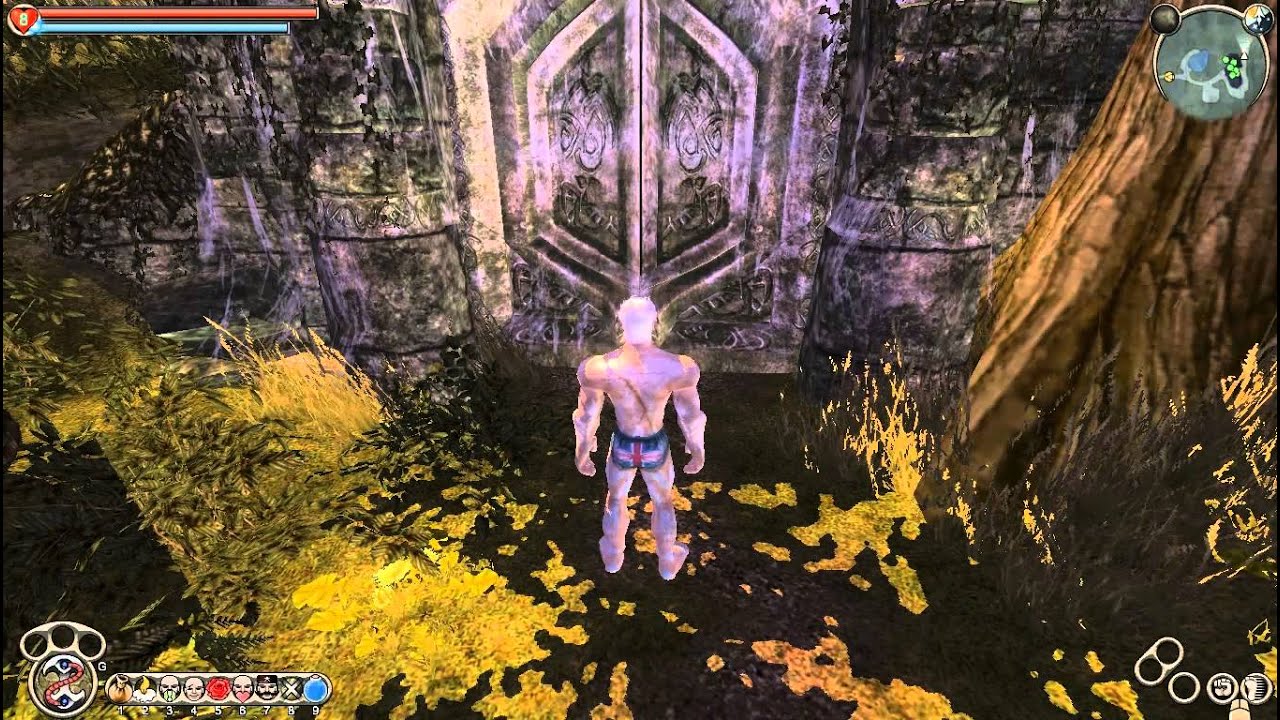 Fable TLC Gameplay 26 Ita Bordello Di Darkwood E Calcio Al Pollo - YouTube