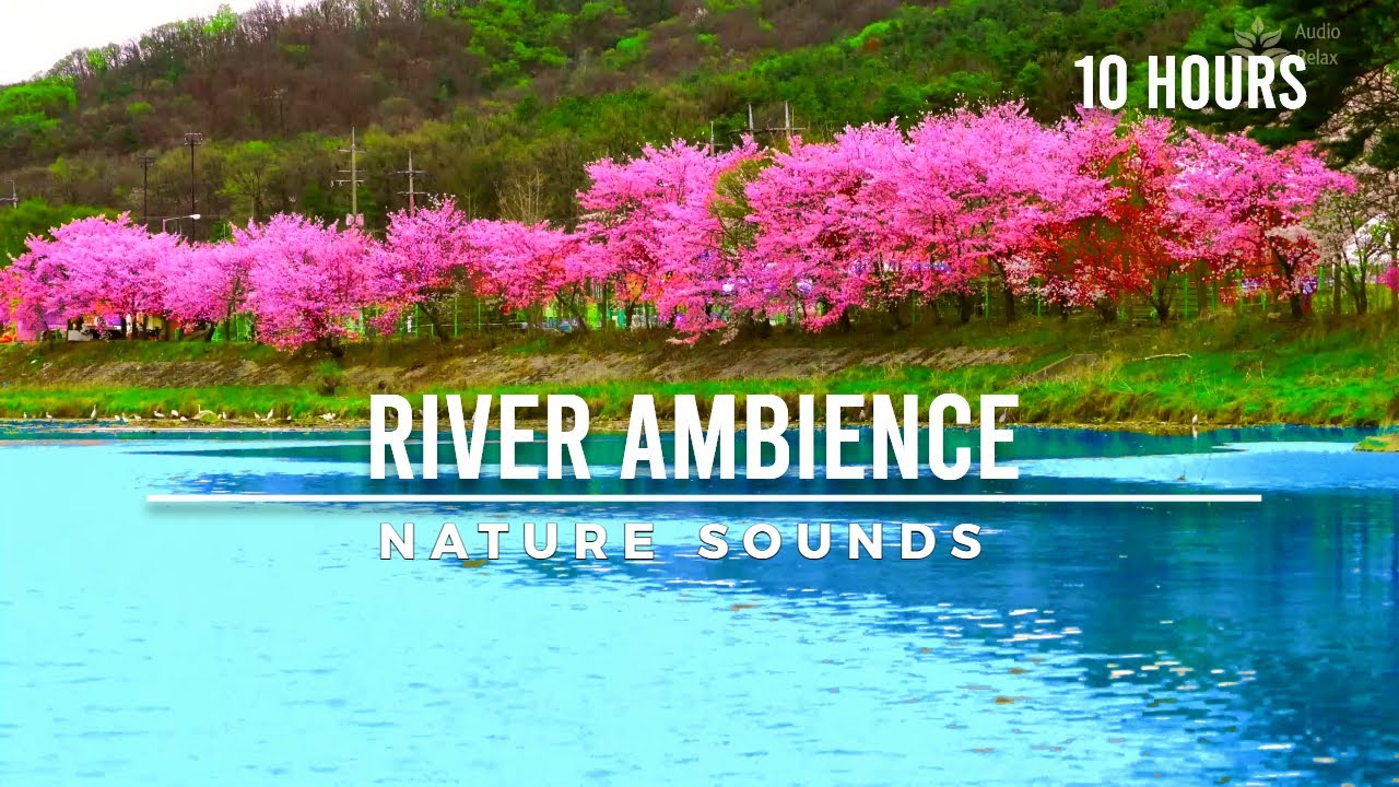 Calming River Ambience. River flowing. 10 hours Nature Sounds for sleep/relax/meditation - YouTube