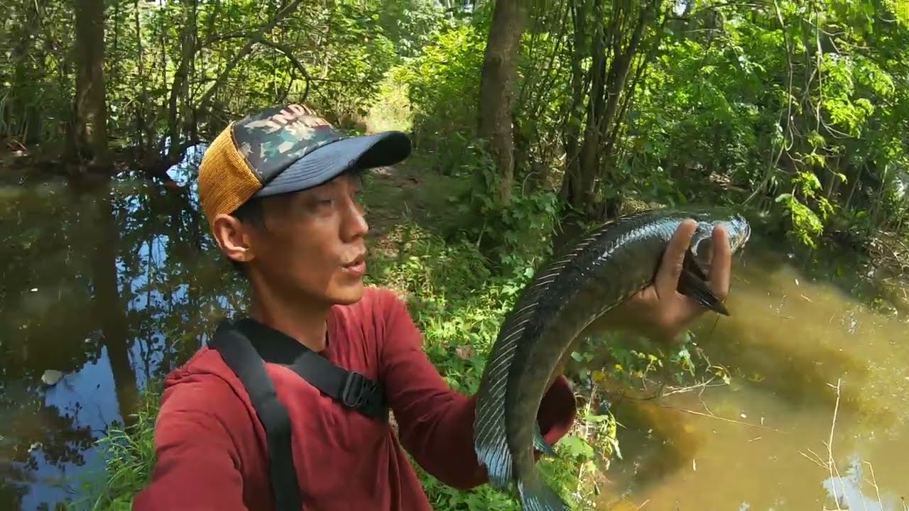 TARIKAN IKAN PALING MENGERIKAN ! BARU KALI INI TERJADI - YouTube