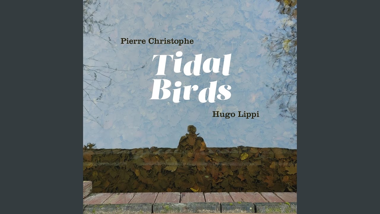 Tidal Birds - YouTube