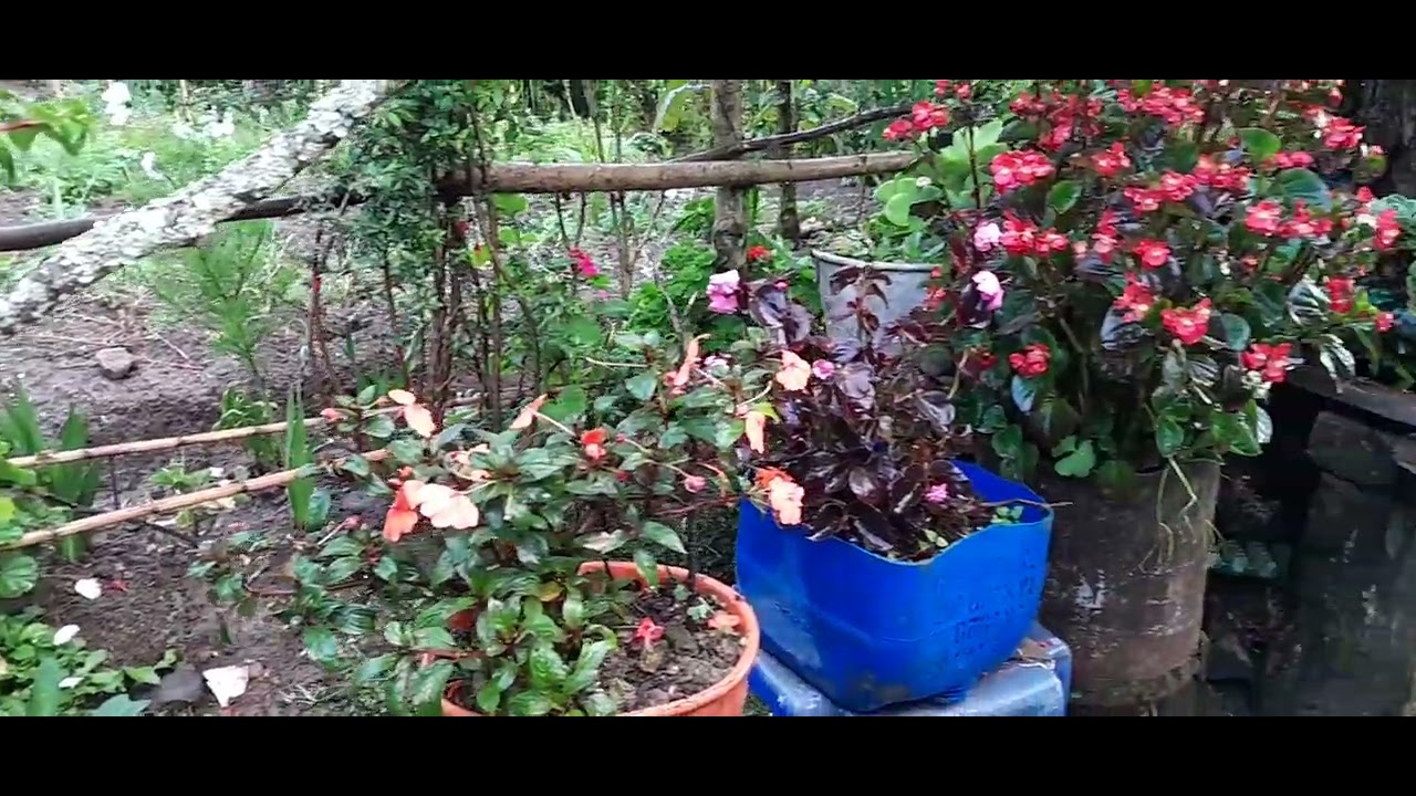 DECORACION JARDIN ECOLOGICO - YouTube
