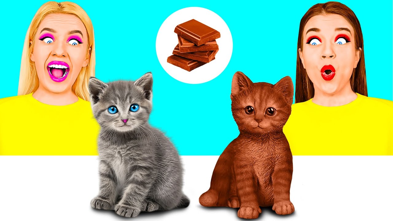 Tantangan Makanan Asli vs Makanan Cokelat | Tantangan Gila oleh BooBoom ...