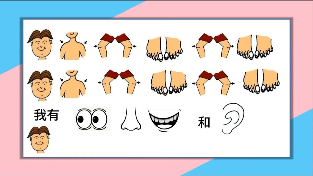Learn Chinese||头head, 肩膀shoulder, 膝盖knees, 脚foot/feet, learn simple ...