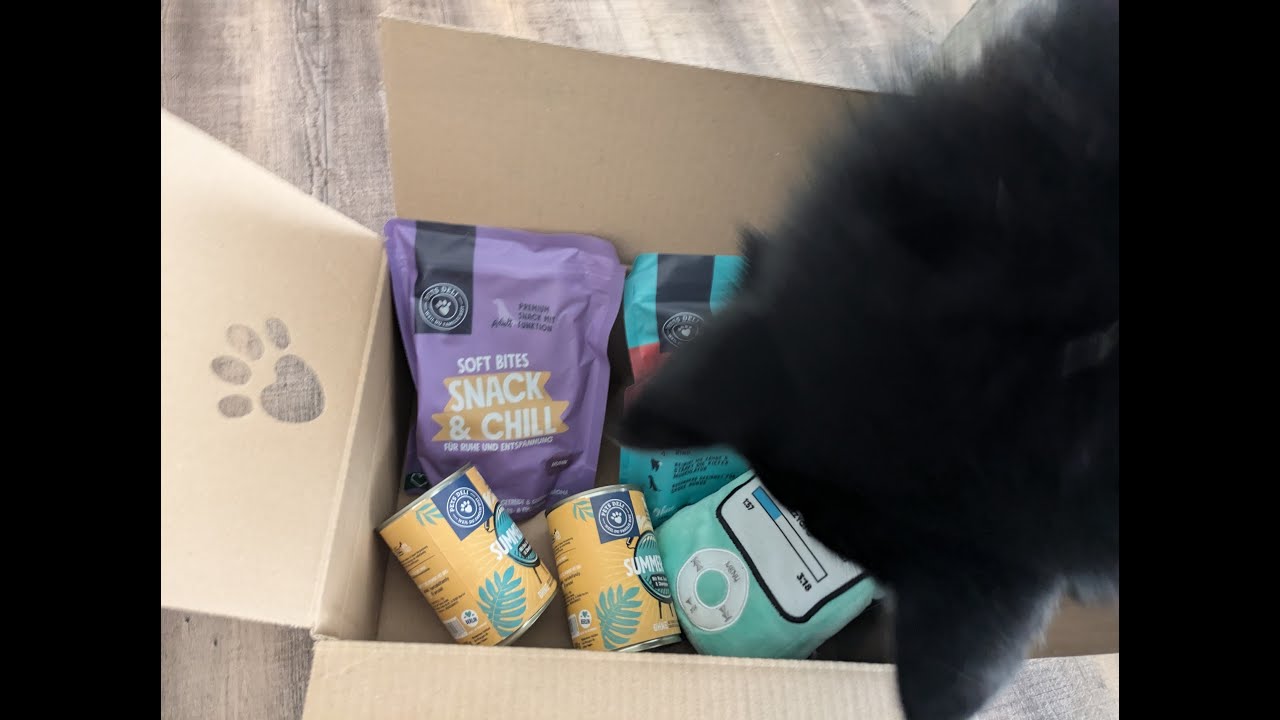 Pets Deli Entspanntes Reisen Paket - Reisepaket für Hunde 💙| Husky Haul ...