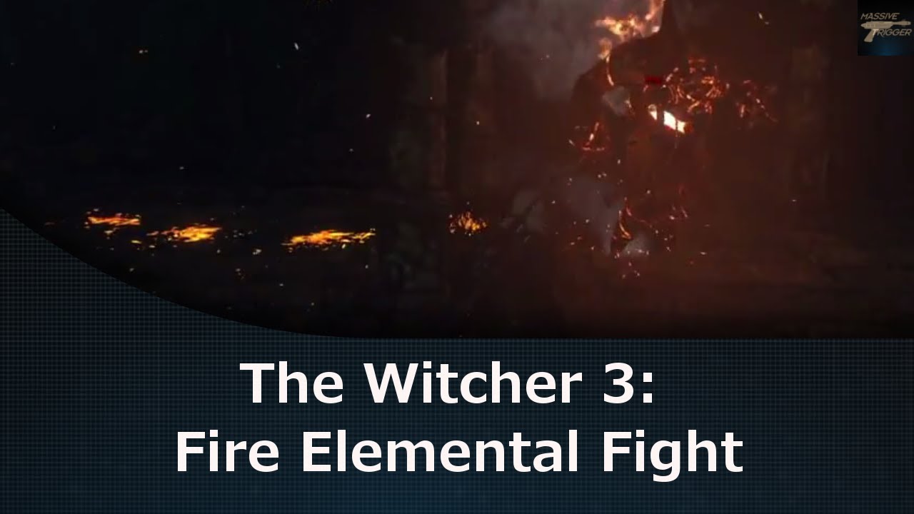 The Witcher 3: Fire Elemental Fight - YouTube