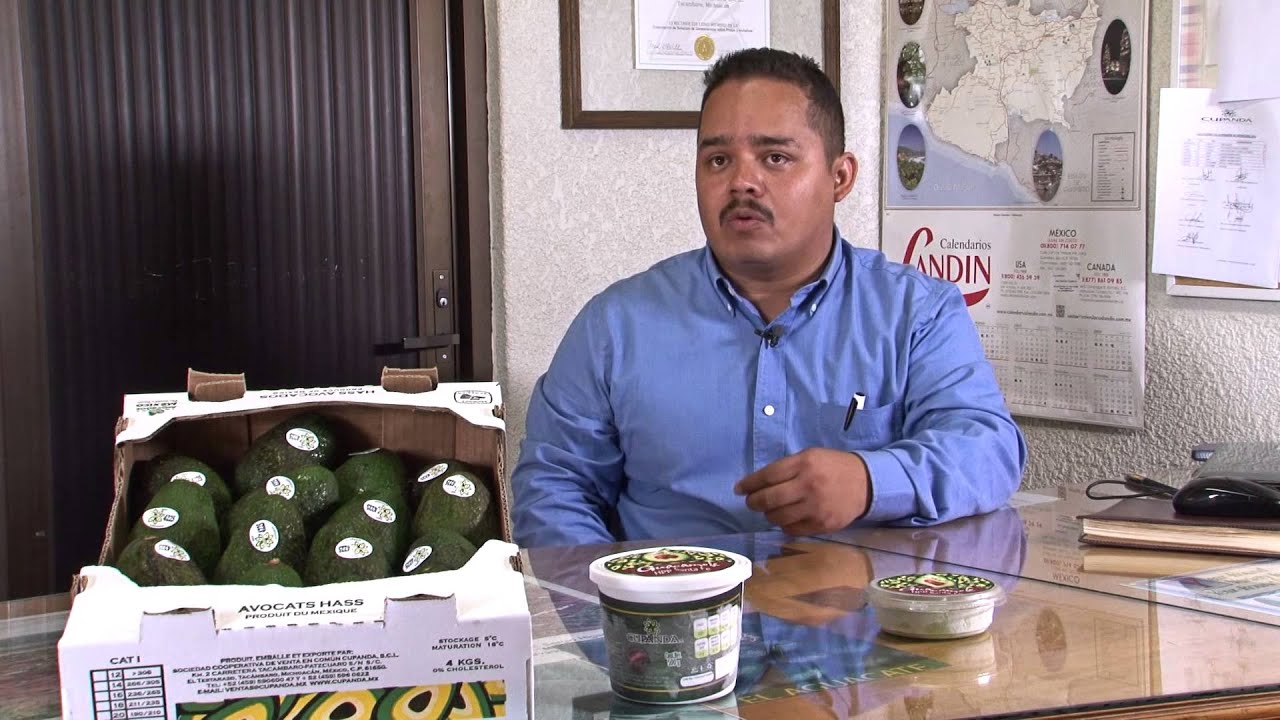 Historias de éxito - Comercializadora de Aguacate Cupanda - YouTube