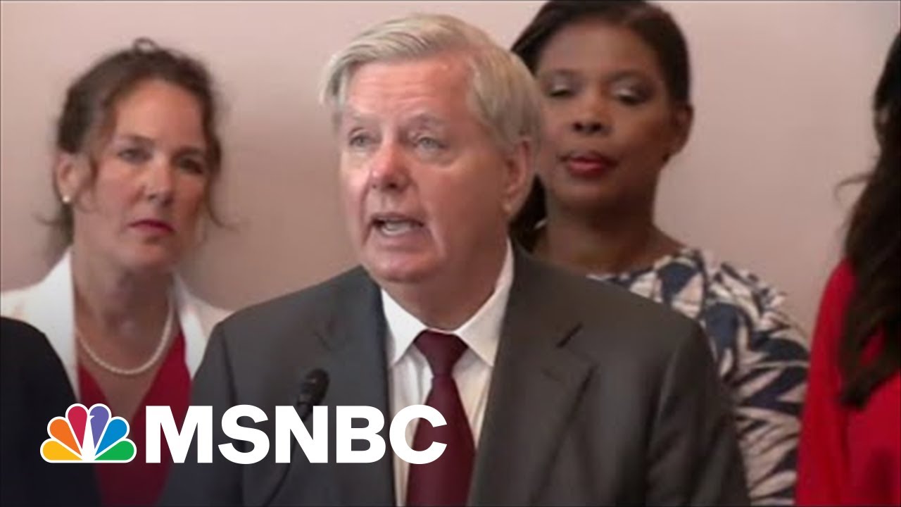 Democratic Lawmaker Shockingly Agrees With Fox On Graham Abortion Ban ...